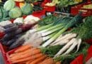 CLASSIFICATION OF VEGETABLES - Agrovista-Farming