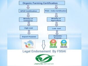 Organic Crop Production Certification Process in India - Agrovista-Farming